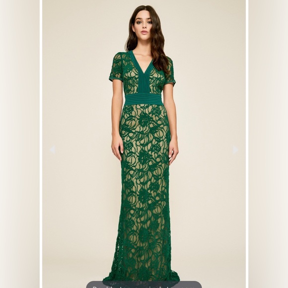 Tadashi Shoji | Dresses | Tadashi Shoji Cloelia Lace Gown | Poshmark